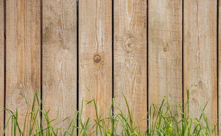 How to Restain a Wooden Fence: Our Step-by-Step Guide | Teak Master